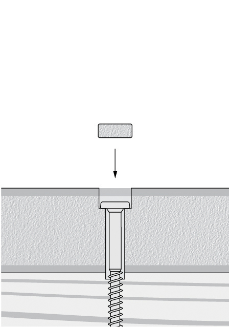 PRO PLUG® SYSTEM - Fascia